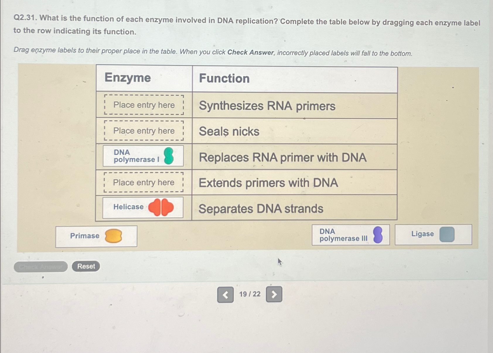 Solved Q2.31. ﻿What is the function of each enzyme involved | Chegg.com