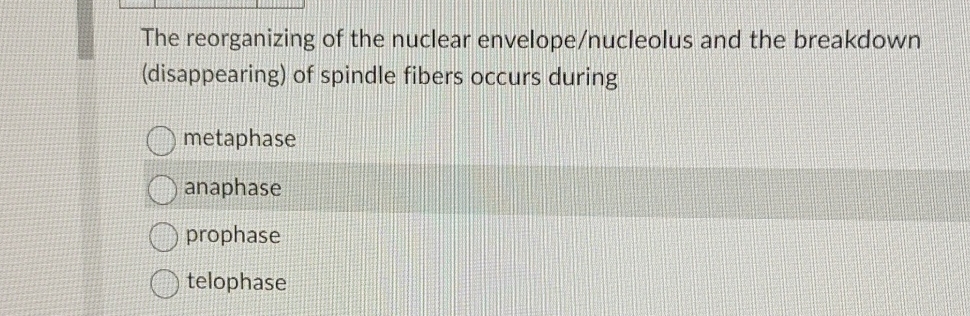 Solved The reorganizing of the nuclear envelope/nucleolus | Chegg.com