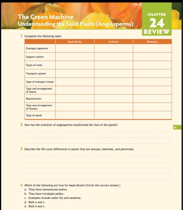 24 1 Reproduction In Flowering Plants Worksheet Answers - Home Alqu
