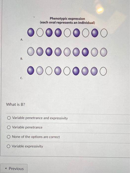Solved B. C. What is B? Phenotypic expression (each oval | Chegg.com