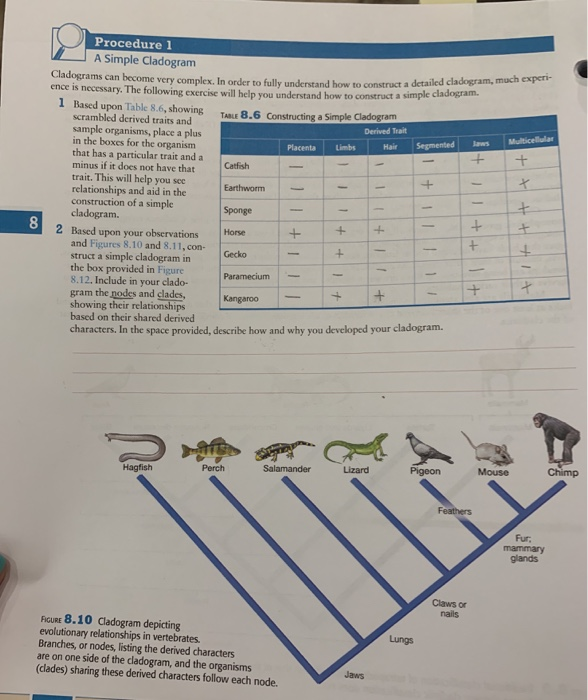 Solved Derived Trait Multicellular Limbs Hai 1+ Catfish | Chegg.com