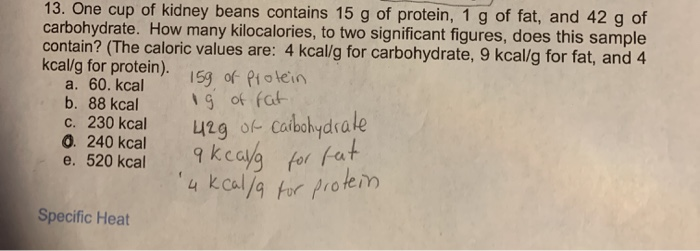 Solved '4 kcal/g for protein 13. One cup of kidney beans | Chegg.com