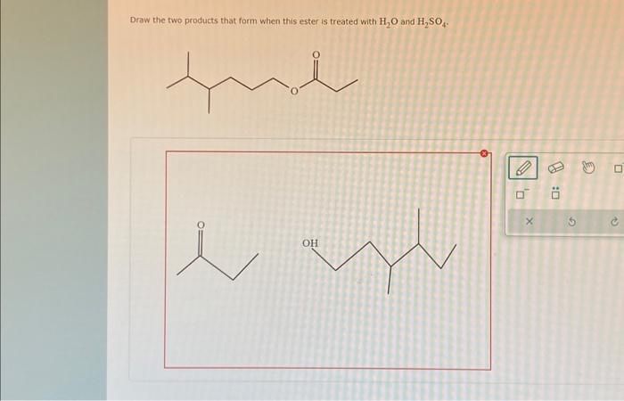 Solved Draw the two products that form when this ester is | Chegg.com
