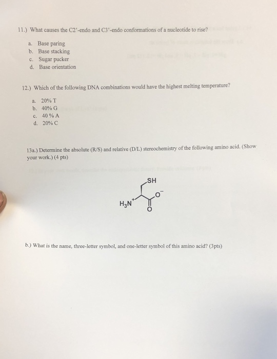 Solved 11.) What causes the C2'-endo and C3'-endo | Chegg.com