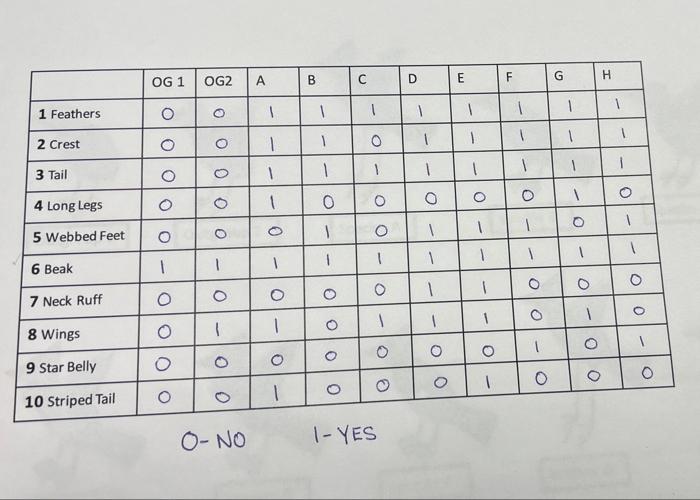 Solved complex bird cladogram1. Review the ten taxa and ten | Chegg.com