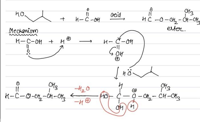 Solved can you please explain in WORDS how my teacher got | Chegg.com