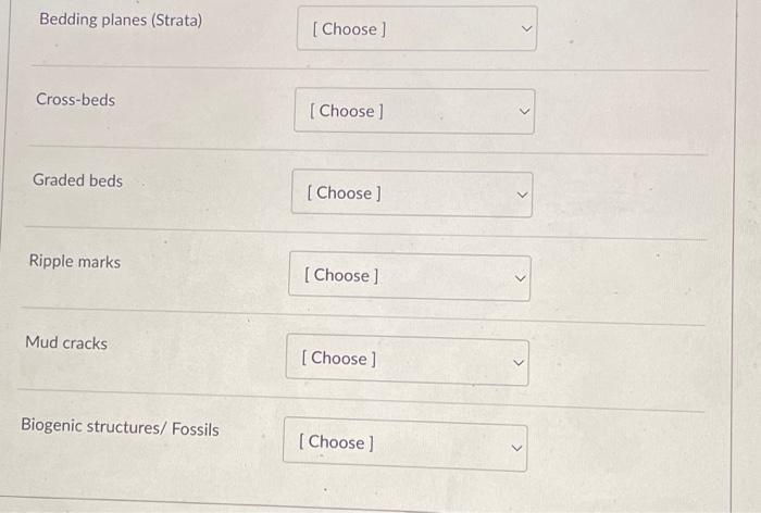 Solved Bedding planes (Strata) Cross-beds Graded beds Ripple | Chegg.com