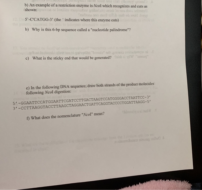 Solved inol b) An example of a restriction enzyme is Ncol | Chegg.com