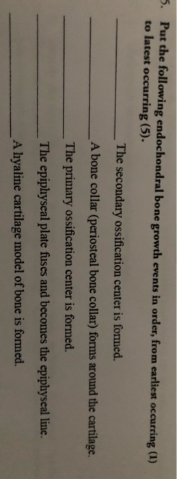 Solved 5. Put the following endochondral bone growth events | Chegg.com
