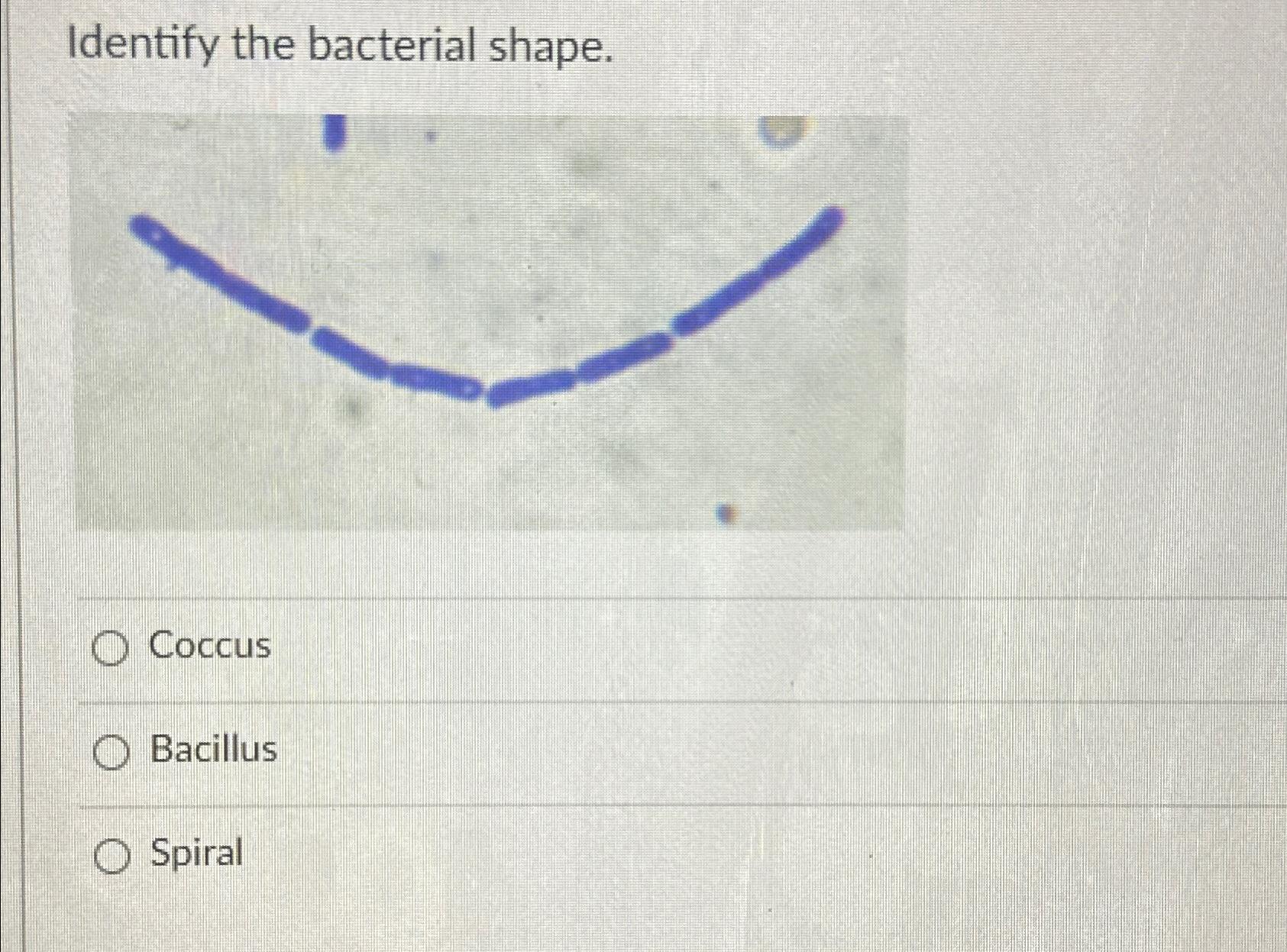 Solved Identify the bacterial shape.CoccusBacillusSpiral | Chegg.com