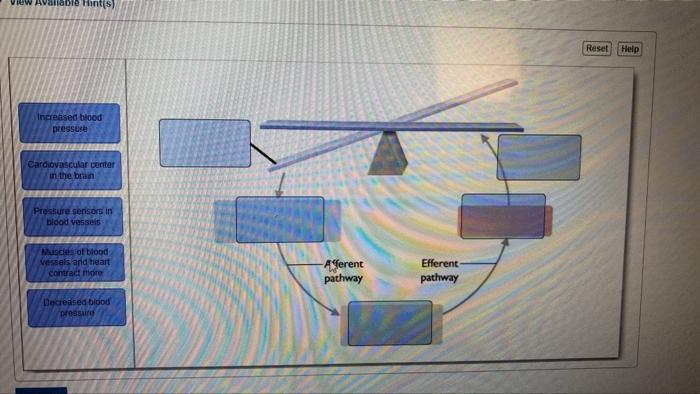 Solved Part E - Negative Feedback Mechanisms help Control | Chegg.com