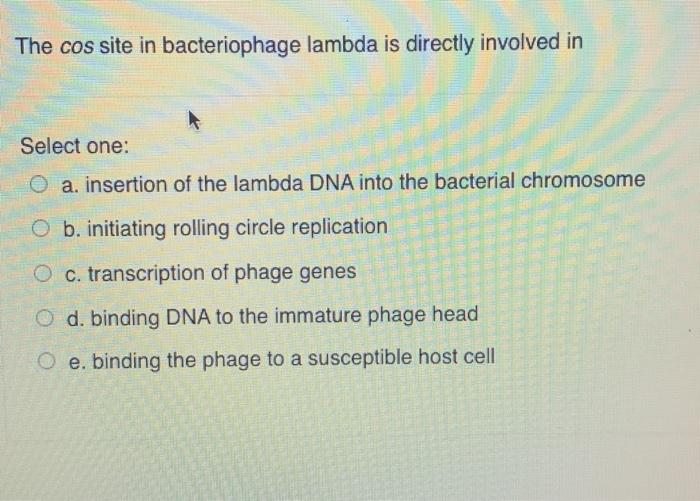Solved The cos site in bacteriophage lambda is directly | Chegg.com