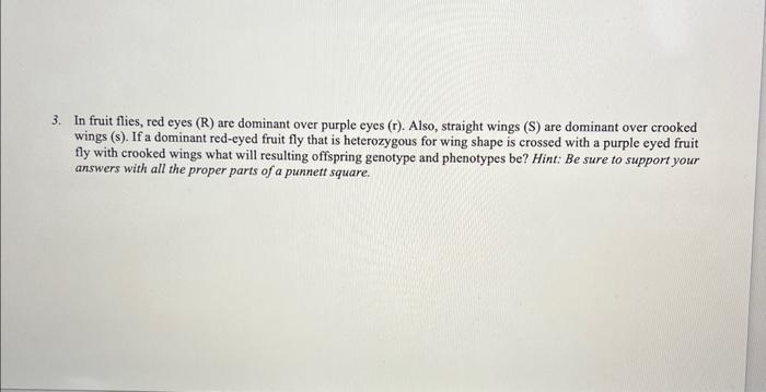 Solved 3. In fruit flies, red eyes (R) are dominant over | Chegg.com
