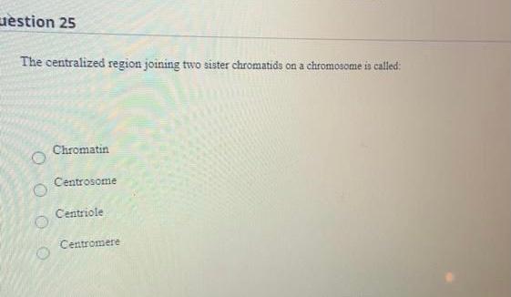 Solved Eestion 25 The centralized region joining two sister | Chegg.com Solved Eestion 25 The centralized region joining two sister | Chegg.com