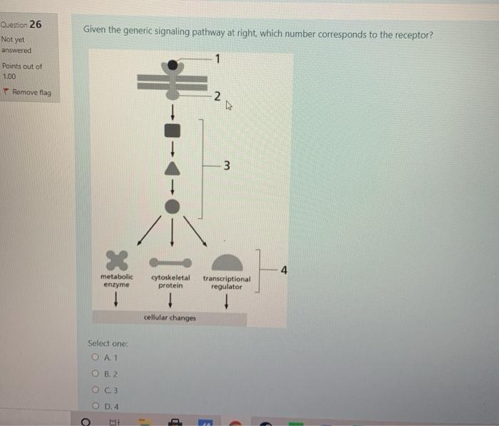 Solved Question 26 Given the generic signaling pathway at | Chegg.com