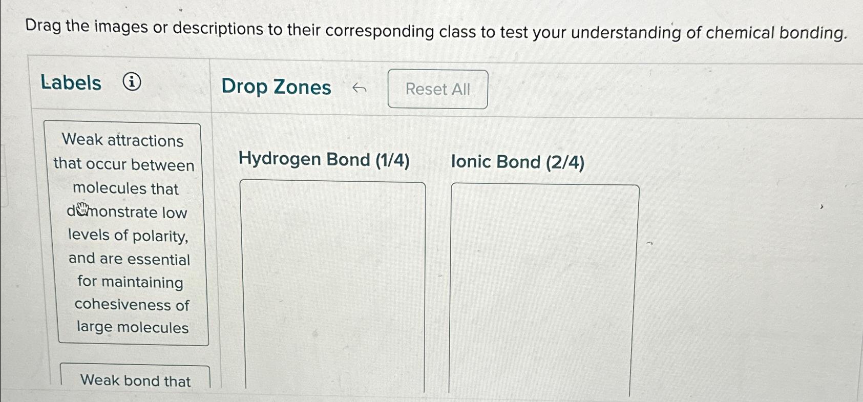 Solved Drag the images or descriptions to their | Chegg.com