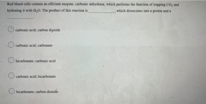 Solved Red blood cells contain an efficient enzyme, carbonic | Chegg.com