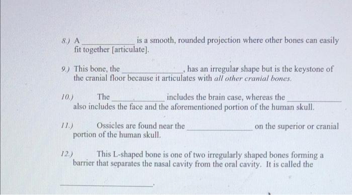 Solved SCAVENGER HUNT BONES OF THE MODERN HUMAN SKULL Using | Chegg.com