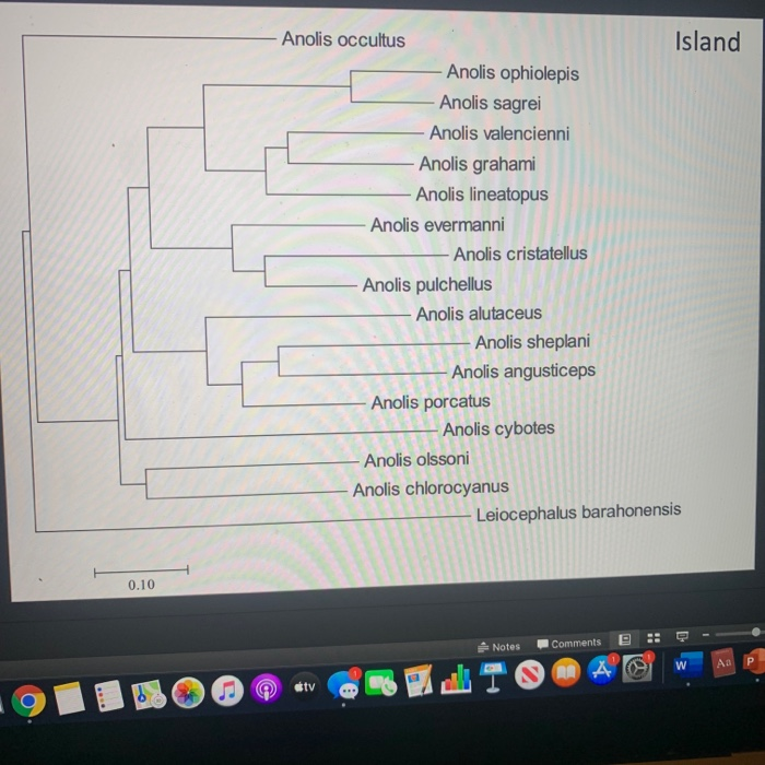 Solved 1. Use the list of lizard species in the table below, | Chegg.com