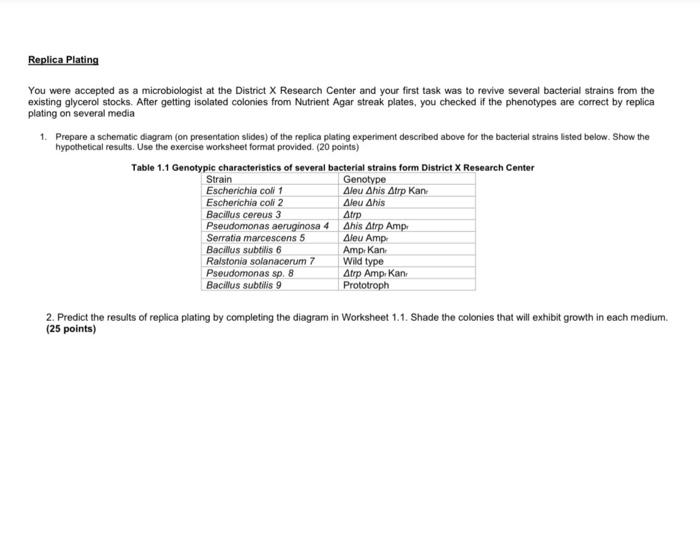 Solved Replica Plating You were accepted as a microbiologist | Chegg.com