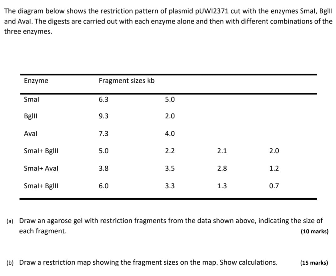 Solved The Diagram Below Shows The Restriction Pattern Of