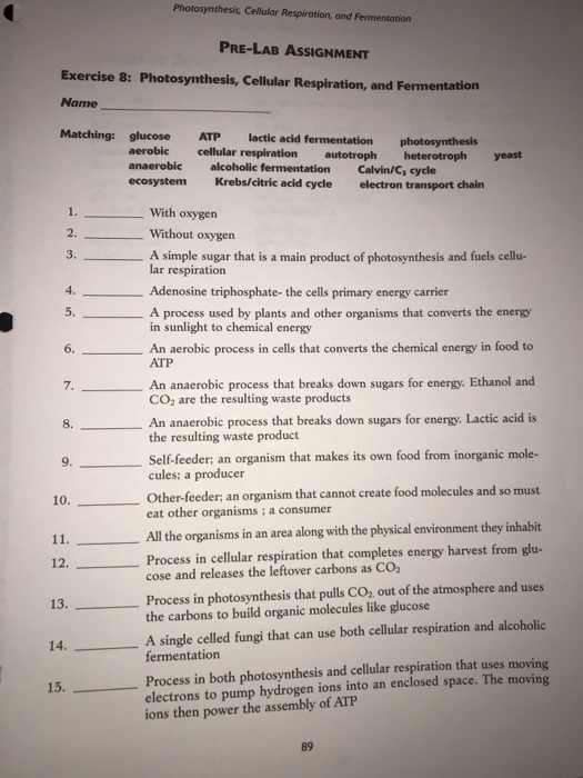 Solved Photosynthesis Cellular Respiration, and Fermentation | Chegg.com