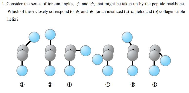 Solved Consider the series of torsion angles, φ ﻿and ψ, | Chegg.com
