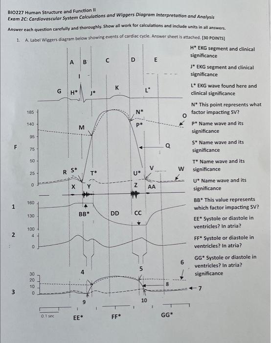 B1O227 Human Structure and Function II Exam 2C: | Chegg.com