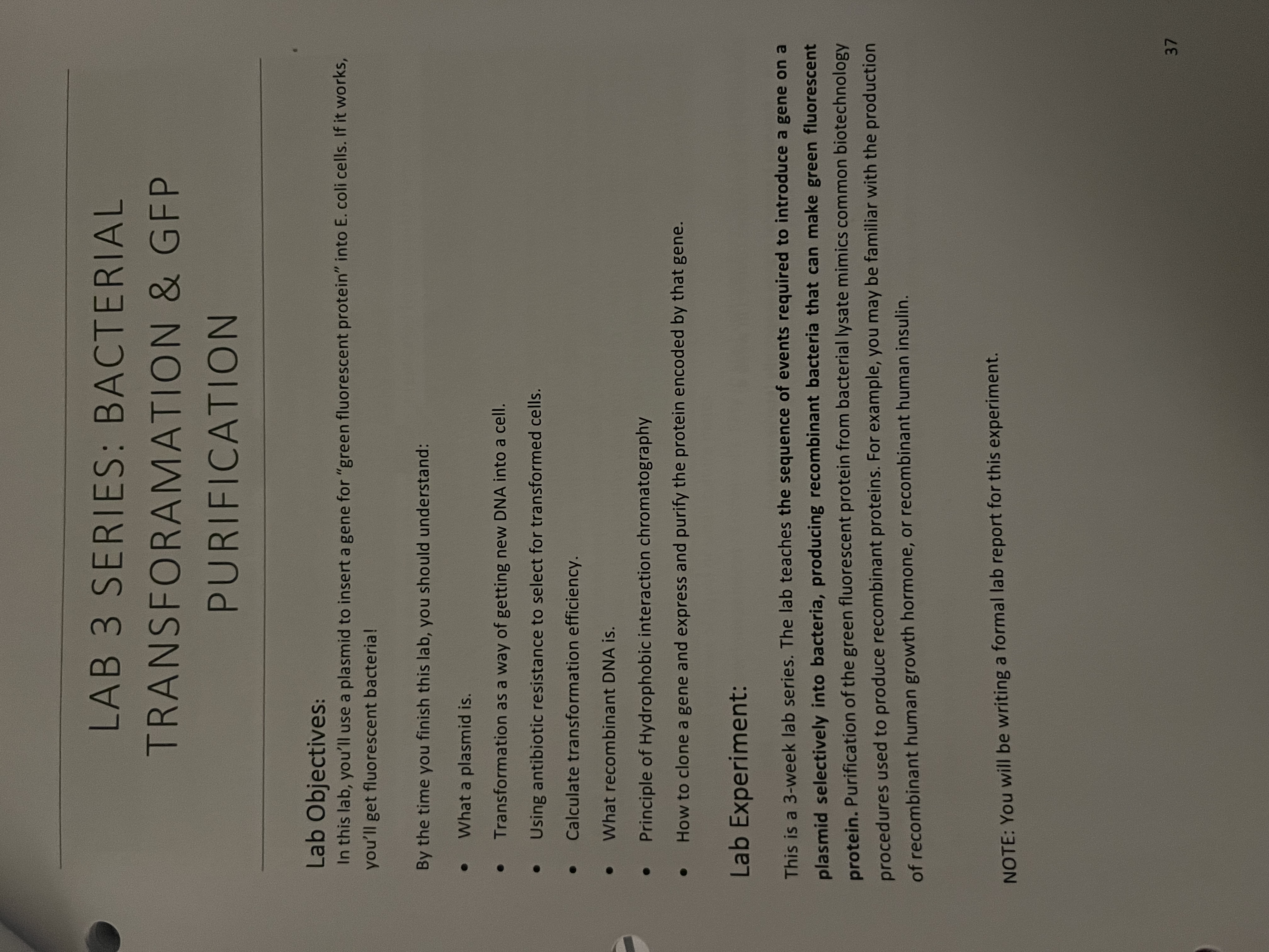 Solved lab3 ﻿series: bacterial transformation & GFP | Chegg.com
