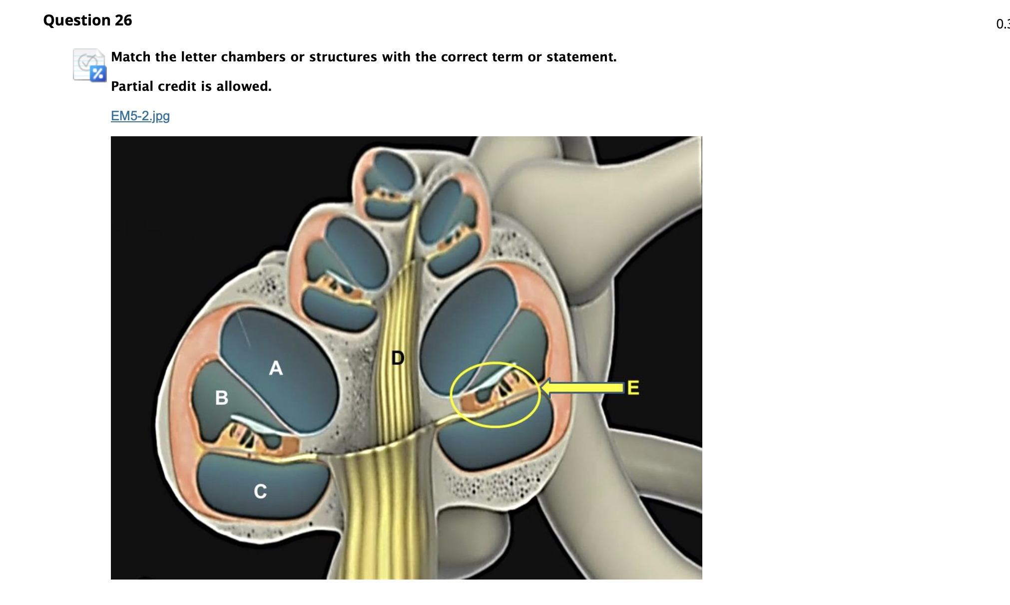 Solved Match the letter chambers or structures with the | Chegg.com