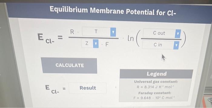 Solved Equilibrium Membrane Potential for Cl- ECl=zr⋅FR⋅ln(− | Chegg.com