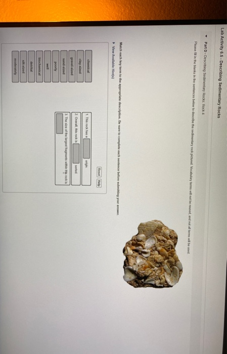 Solved Lab Activity 6.5. Describing Sedimentary Rocks Part | Chegg.com