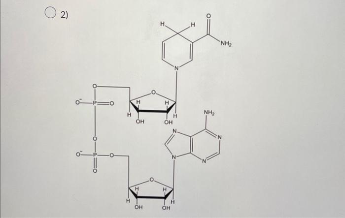 Solved Which of the following cofactors is required in the | Chegg.com Solved Which of the following cofactors is required in the | Chegg.com