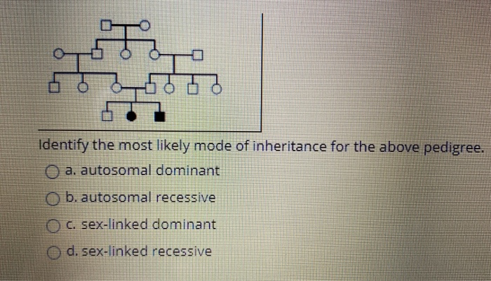 Solved 뭡 Identify The Most Likely Mode Of Inheritance For 4110