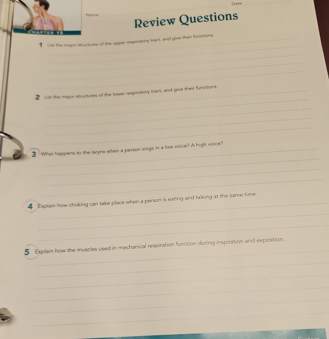 Solved 1 List the major structures of the upper respiratory | Chegg.com