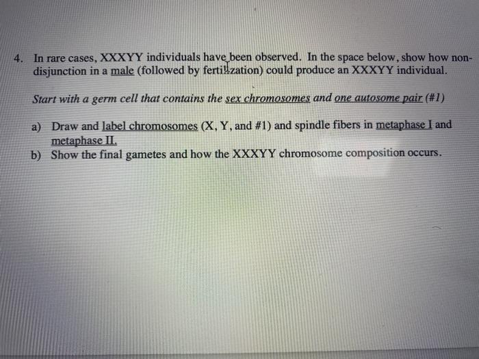 Solved 4. In rare cases, XXXYY individuals have been | Chegg.com