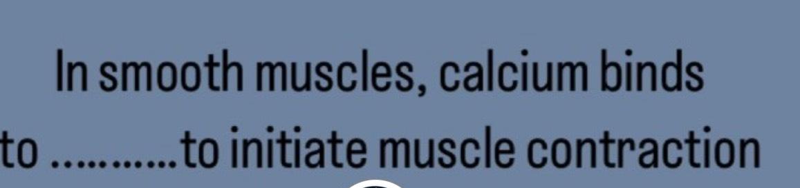 Solved In smooth muscles, calcium bindsto---- ﻿to initiate | Chegg.com
