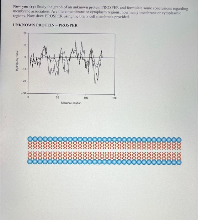 Solved Now you try: Study the graph of an unknown protein | Chegg.com