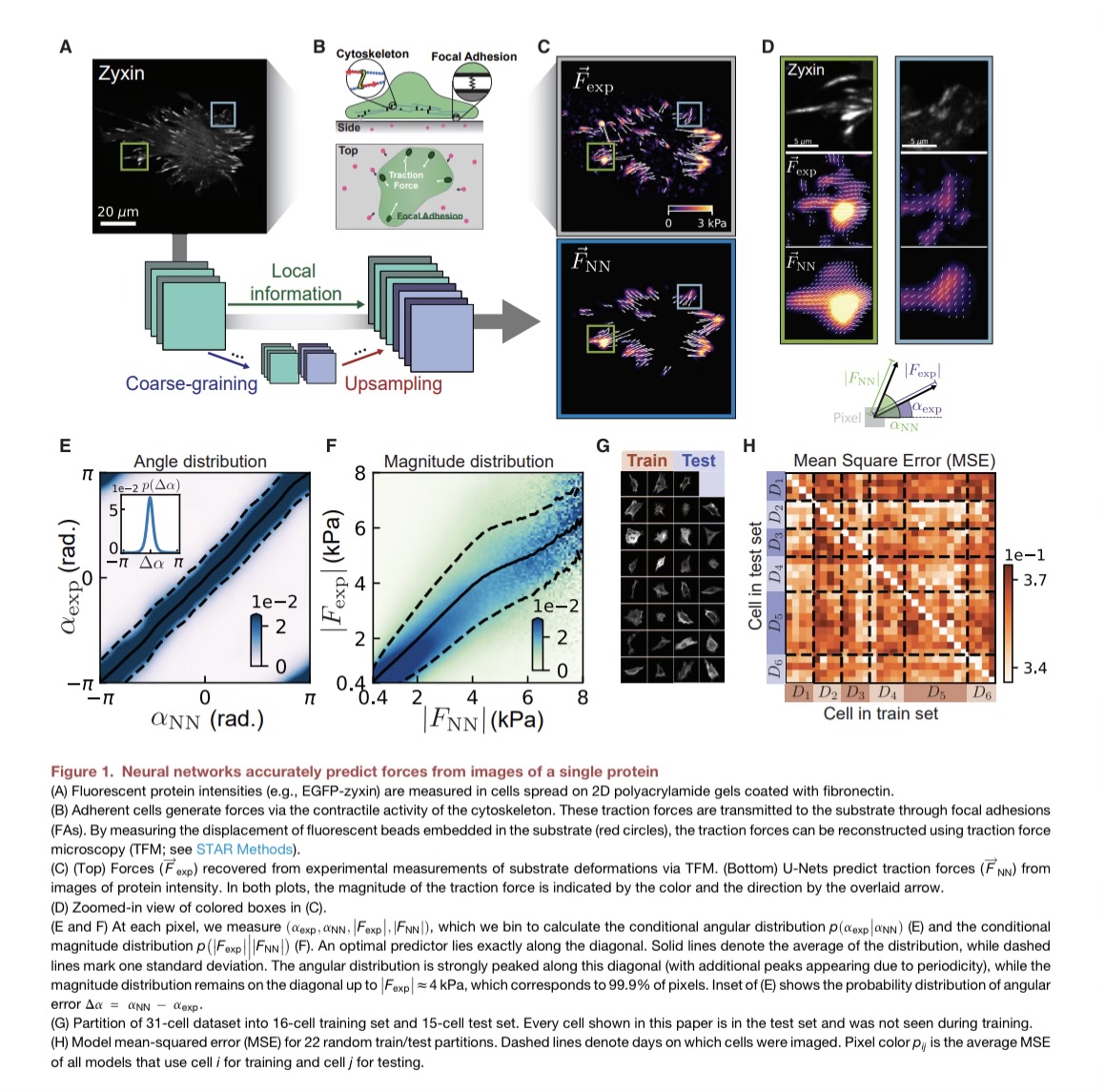 Solved ADGHFigure 1. ﻿Neural networks accurately predict | Chegg.com