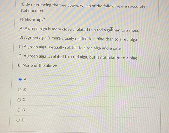 4) By referencing the tree above, which of the | Chegg.com
