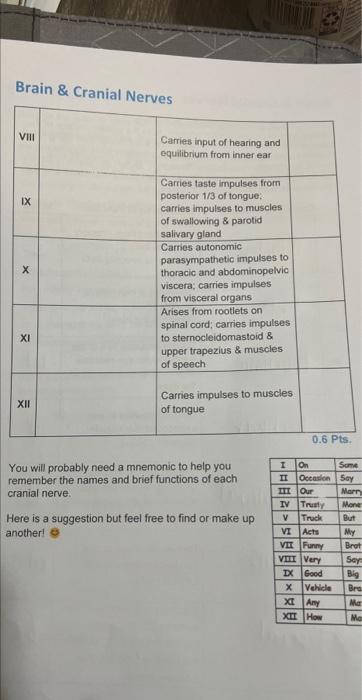 Solved Brain & Cranial Nerves VIII IX X XI XII Carries input | Chegg.com