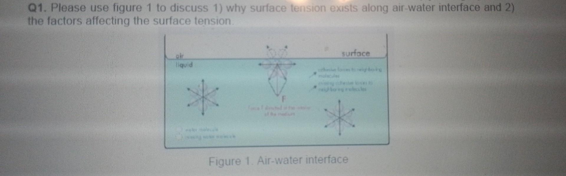 Solved Q1. Please use figure 1 to discuss 1 ) why surface | Chegg.com