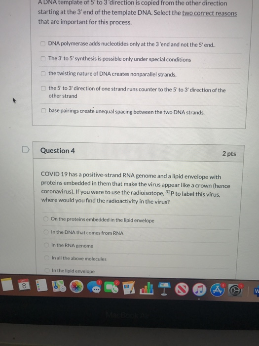 Solved ADNA template of 5' to 3 direction is copied from the | Chegg.com