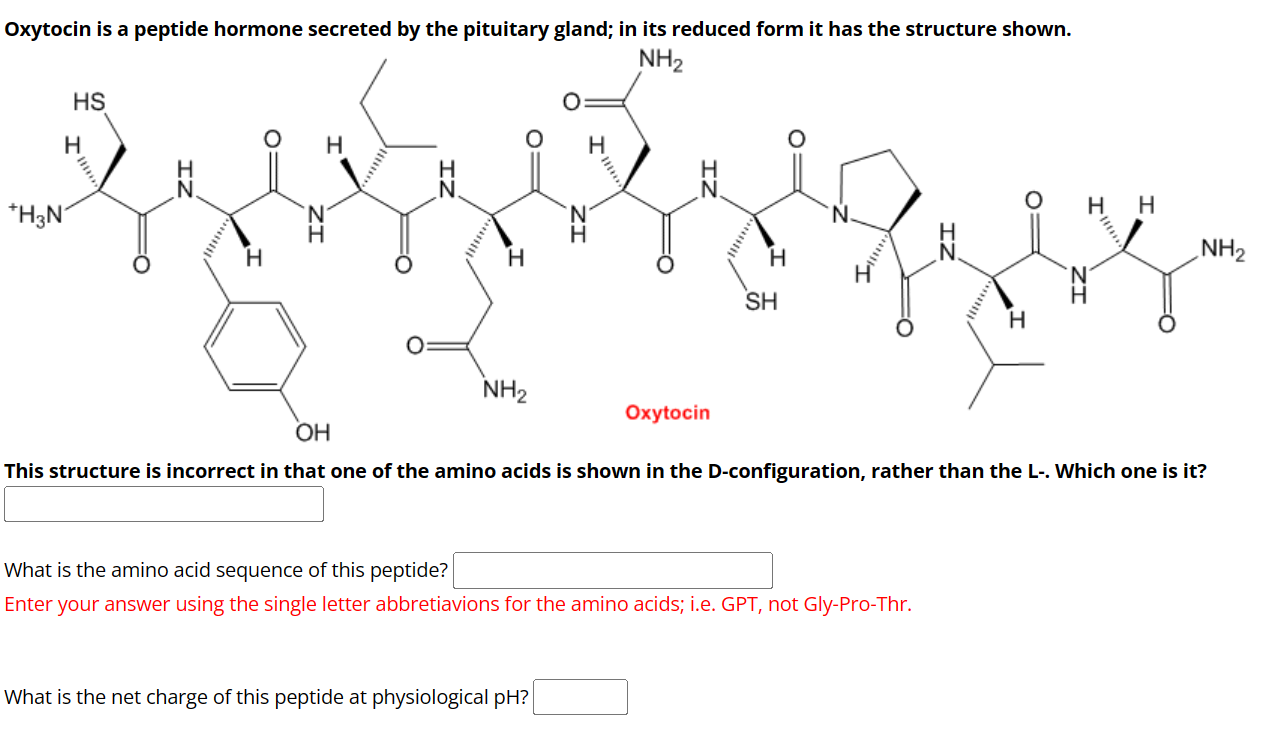 Solved Oxytocin is a peptide hormone secreted by the | Chegg.com