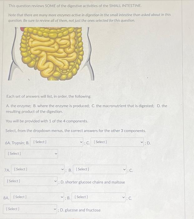 Solved This question reviews SOME of the digestive | Chegg.com