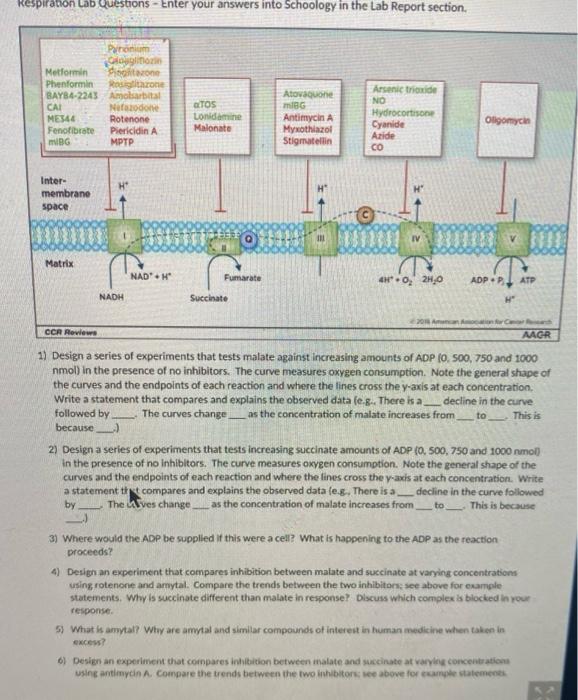 Solved Metformin Phenormi Roone BAYB4-2243 morbi CAI | Chegg.com