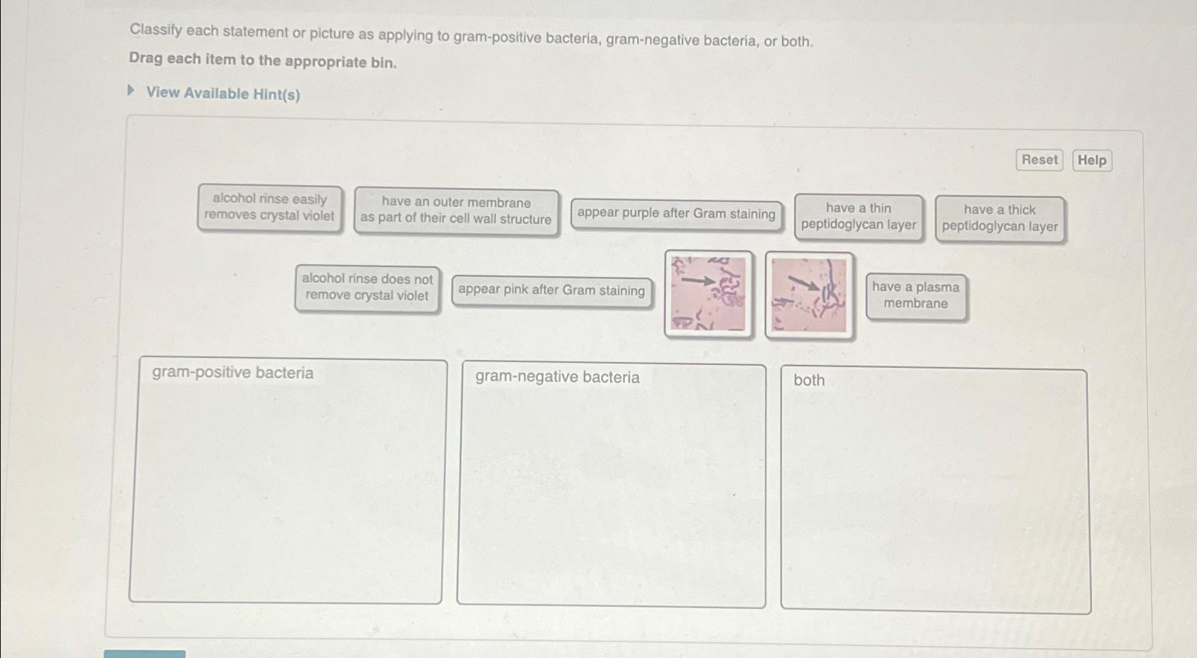 Solved Classify each statement or picture as applying to | Chegg.com