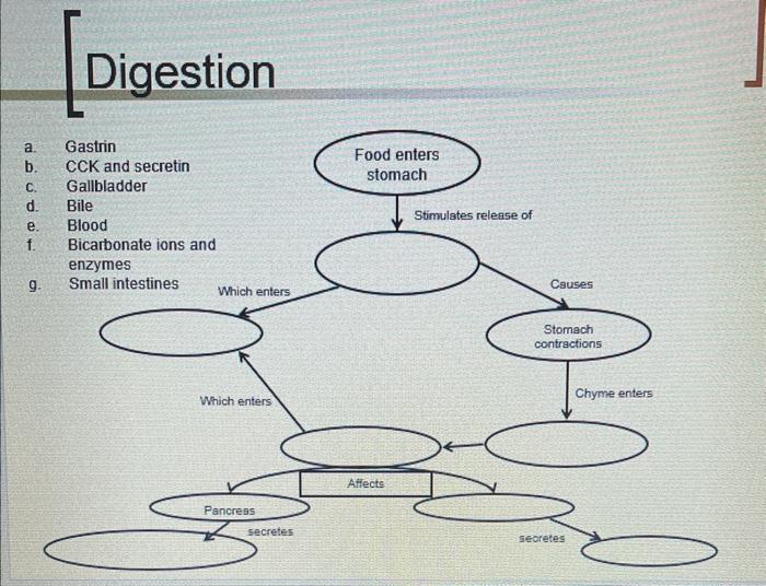 Solved Digestion | Chegg.com