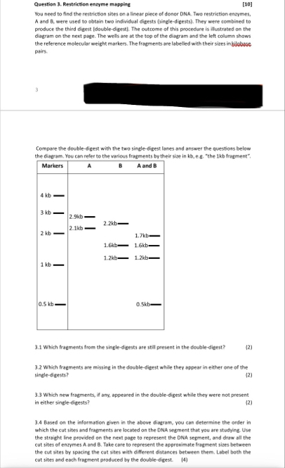 Solved Question 3. ﻿Restriction enzyme mapping[10]You need | Chegg.com