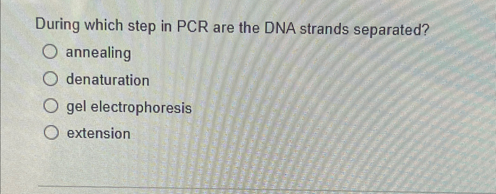 Solved During which step in PCR are the DNA strands | Chegg.com
